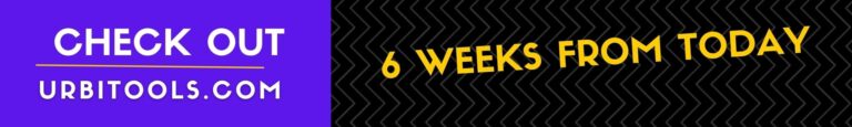 What Is 6 Weeks From Today? | Calculator Now