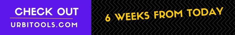 What Is 6 Weeks From Today? | Calculator Now